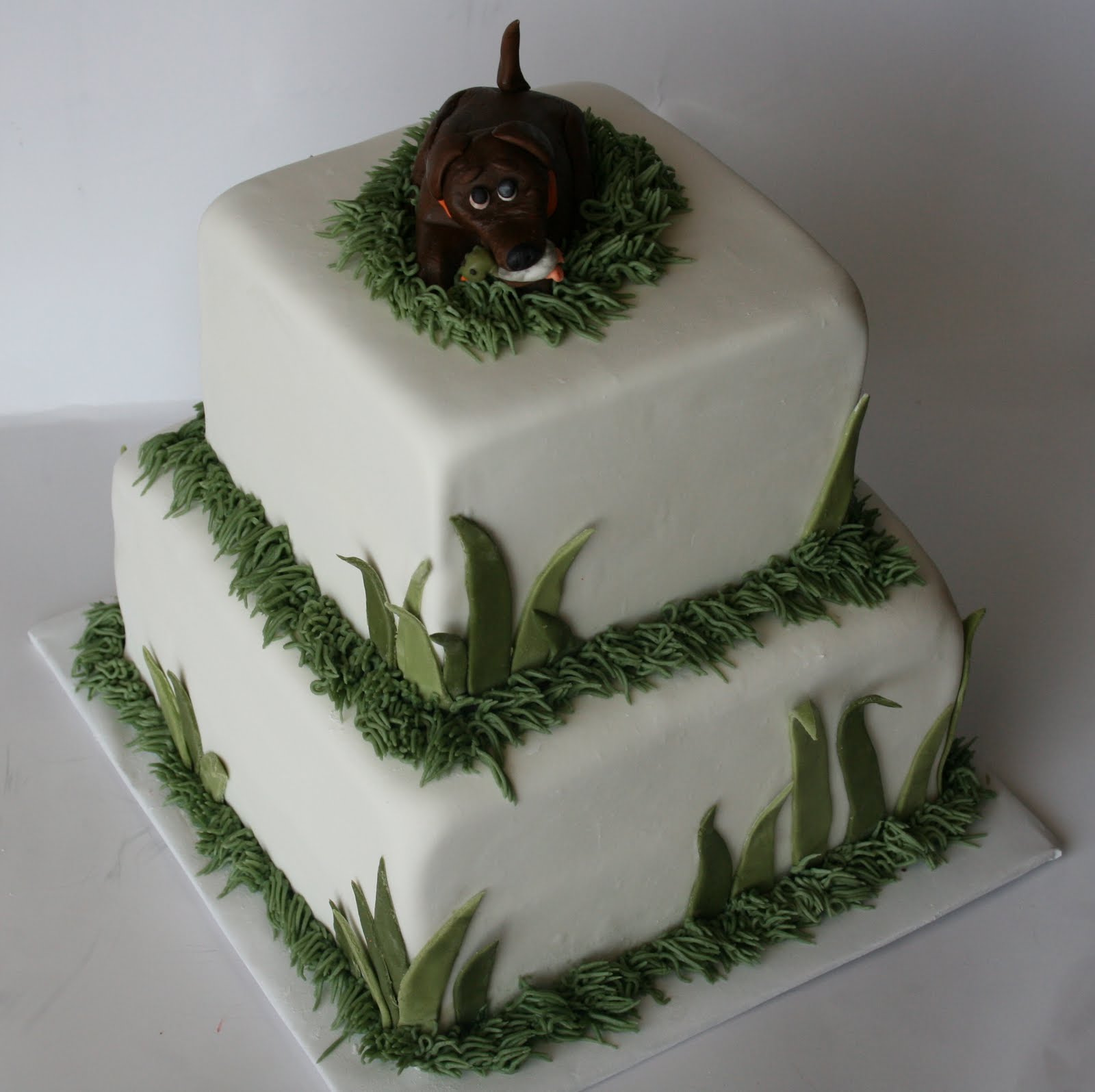 And Everything Sweet: Labrador Retriever Cake