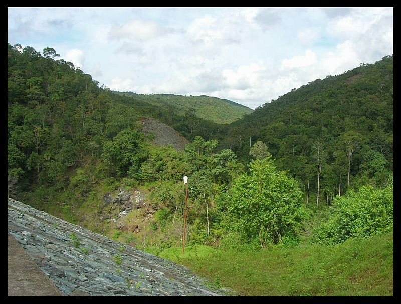 AwesomeAndamans: Go wild in the Andamans! Trek through its thick ...