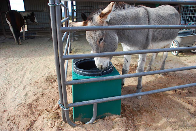 The 7MSN Ranch: Solar-heated Water Trough product review