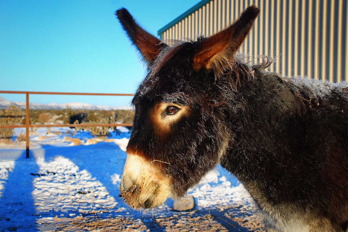 The 7MSN Ranch: The 7MSN at minus 27 degrees