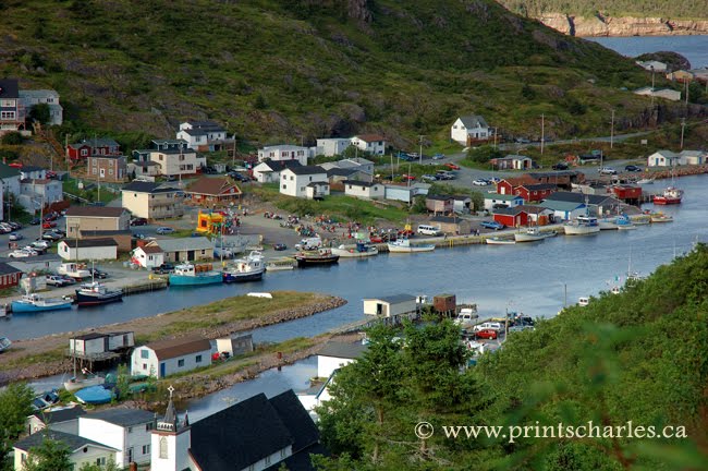 Around the Harbour: 2010