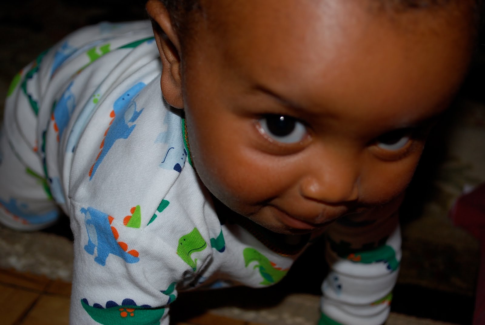 the eyes of my eyes are opened: The Care and Feeding of a Habesha Tortuga