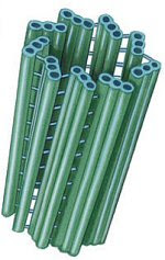 Biologia em Foco: O CITOPLASMA DAS CÉLULAS EUCARIÓTICAS