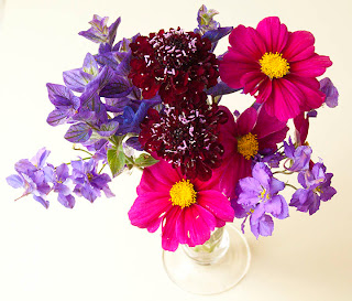 A Small Garden: Cut flowers