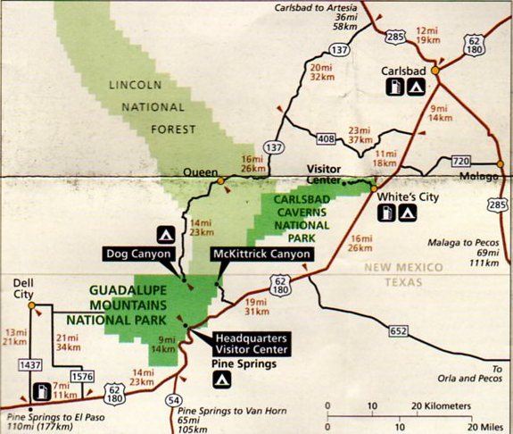 the common milkweed: Dog Canyon to McKittrick Canyon Through Hike