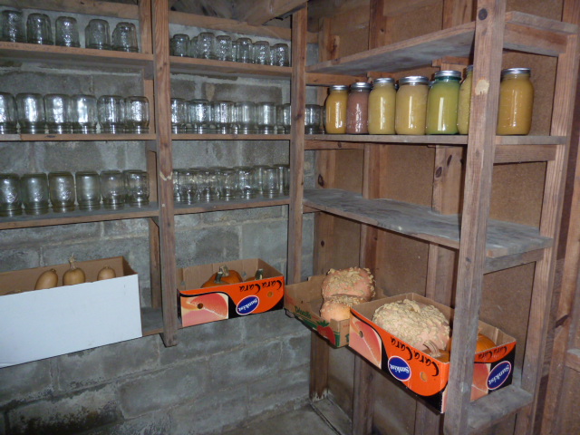 the common milkweed: Basement Root Cellar