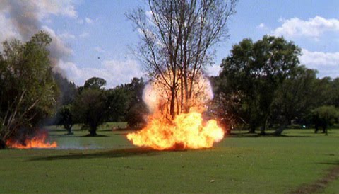 If It's Hip, It's Here (Archives): A Photographer's Homage To The Cult ...