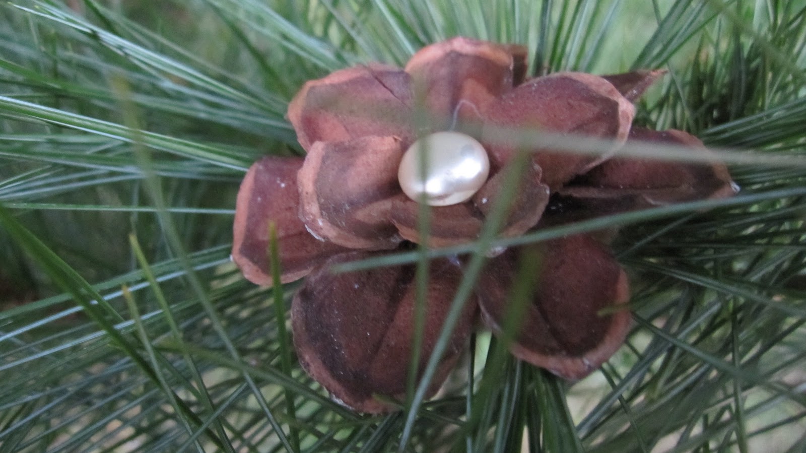 Kitty Cats and Airplanes: Pinecone Flowers