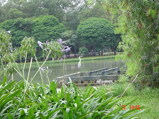 PARQUES SUSTENTÁVEIS & ESG - Sustainable Urban Parks - Parques Urbanos ...