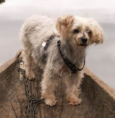 CAMEROUN (Argentina et Rémy): LE CRATERE DE DEBUNDSCHA