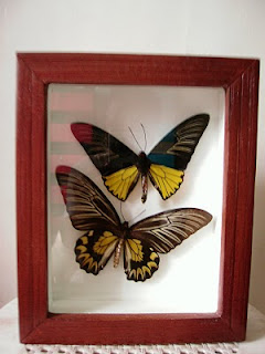 Indigenous Frame - Proudly Philippine Made