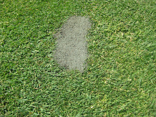 Northmoor Country Club Golf Course Operations: Replacing Fairway Divots
