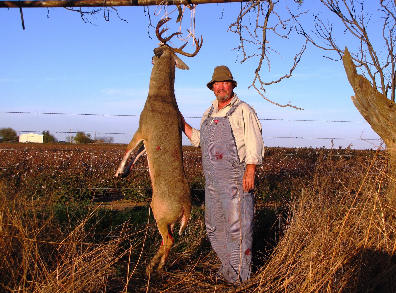 The Hawk's View: Twelve Point Buck Taken In Fluvanna TX in 2008