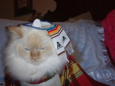 Kitty Stampede: Cats in Costume