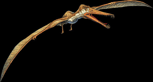 Jurassic Park Mania: Cearadactylus Atrox