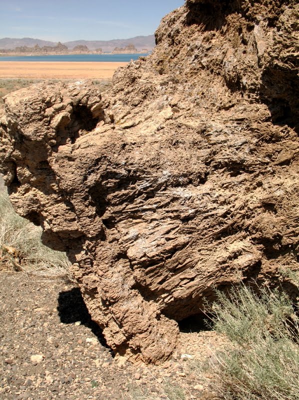 Looking For Detachment: Tufa Tuesday: Tufa Domes and Thinolite at ...