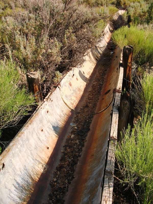 Looking For Detachment: Things You Find in the Field: Old Trough