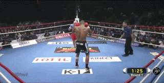 Hesdy Gerges vs Yusuke Fujimoto - K-1 World Grand Prix 2010 Final: Teh ...