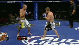 Donald Cerrone vs. Chris Horodecki - WEC 53: Teh Gifs ~ Campizone MMA