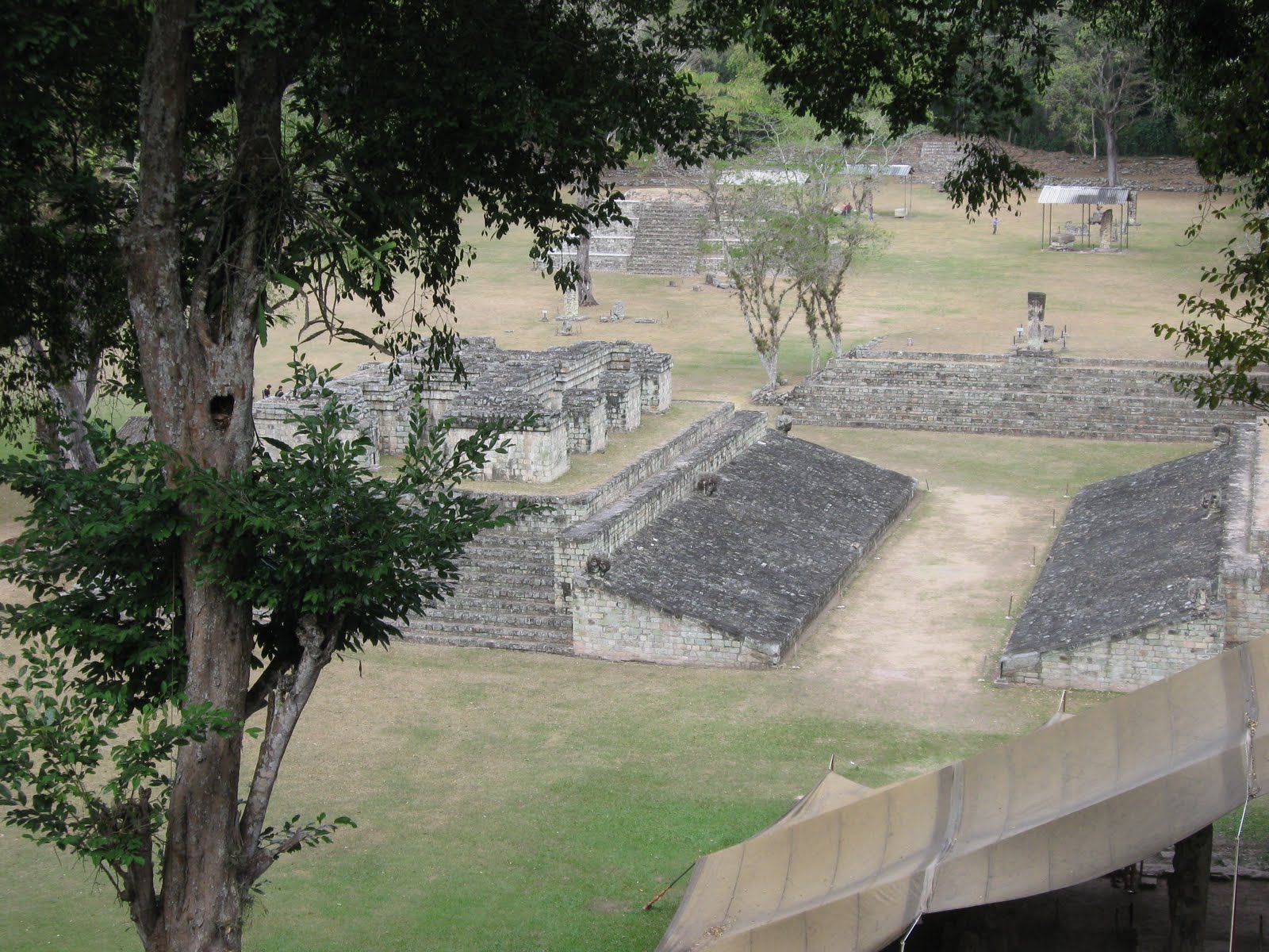 Word of Mouth: Copan