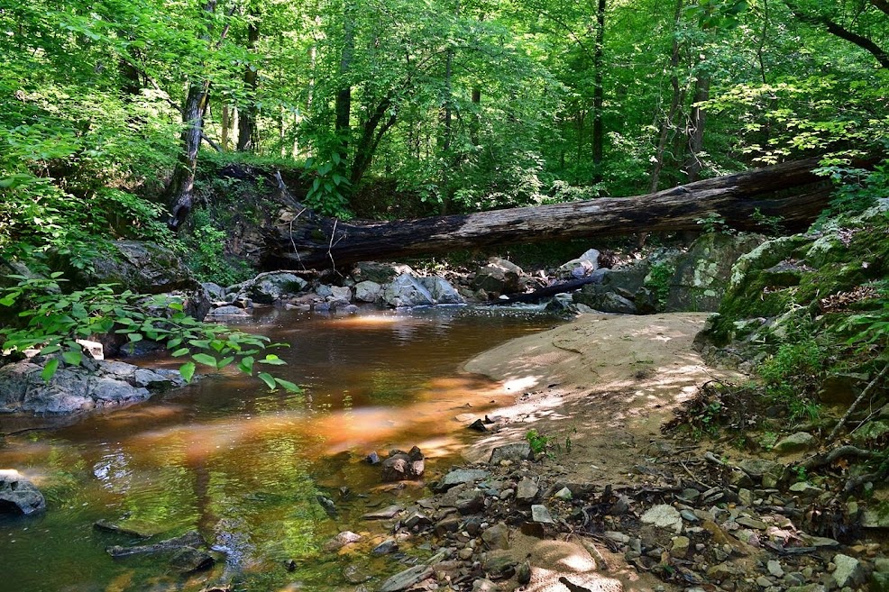 Waterfall Hero Hikes: Ledge Creek Forest Conservation Area