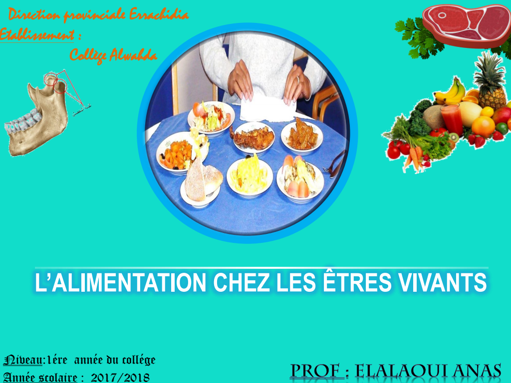 Chapitre l'alimentation chez les êtres vivants 1AC pdf