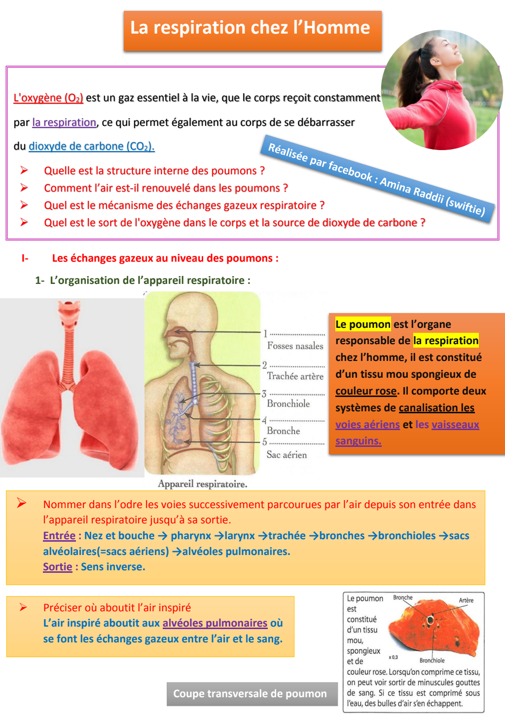 la respiration chez l'homme 3eme annee college cours pdf svt