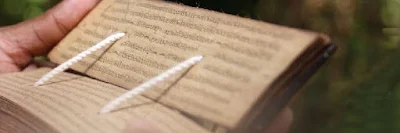 What is Pali Language? A little history | Learn Pali Language