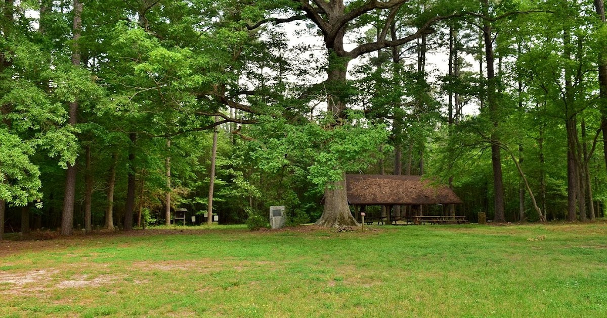 Waterfall Hero Hikes: Carl Alwin Schenck Memorial Forest