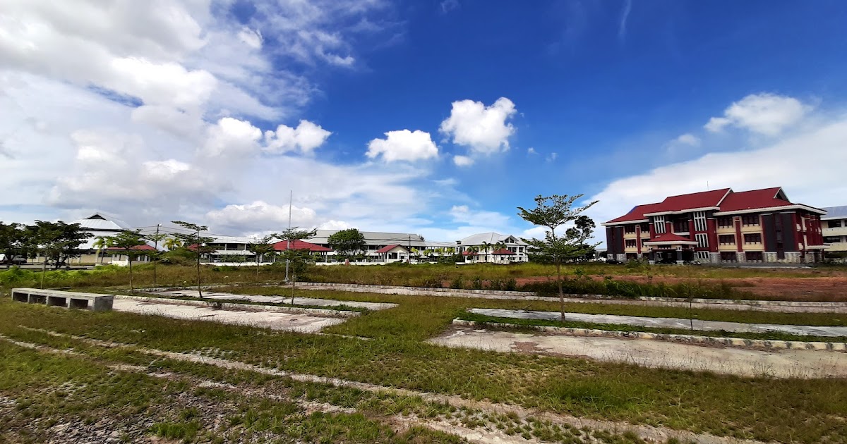 Daya Tampung dan Peminat SNBP 2023 Universitas Musamus Merauke (UNMUS) - GIRI WIDODO