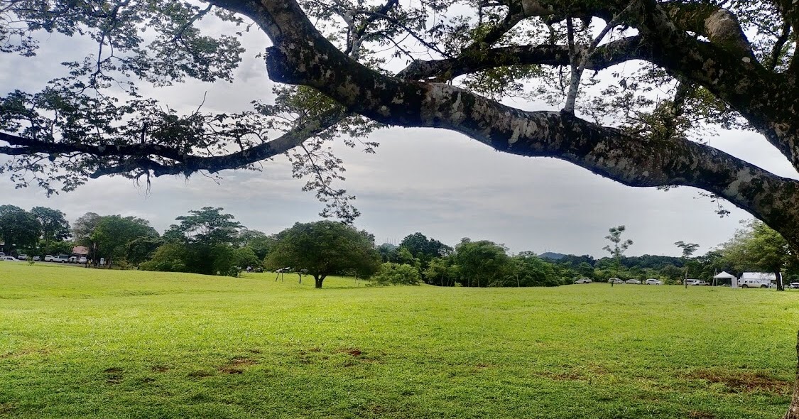 razones para ir al parque santiago Apóstol