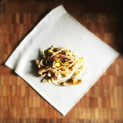 Spring Rolls 春捲 | Chinese Recipes at TheHongKongCookery.com