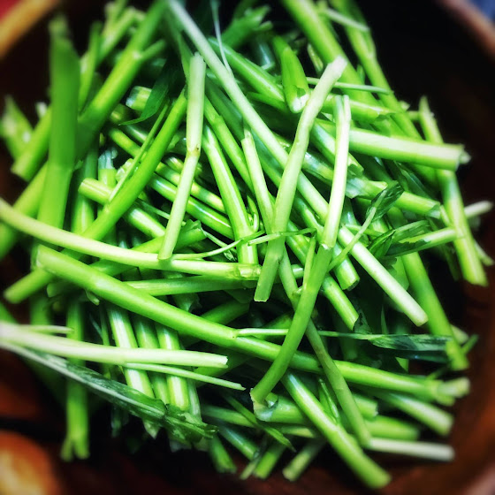 Stir Fried Tung Choi with Shrimp Paste 蝦醬炒通菜 | Chinese Recipes at ...