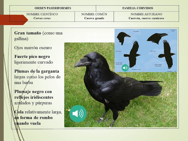 BUENAS PRÁCTICAS PARA UN IES SALUDABLE Y SOSTENIBLE: Las tres primeras ...