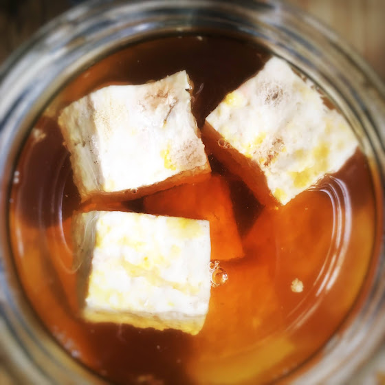 Homemade Chinese Fermented Beancurd Tofu 腐乳 | Chinese Recipes at ...