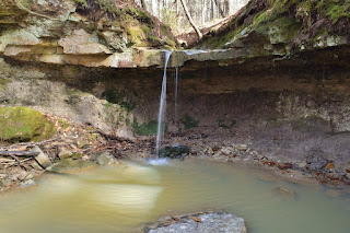 Waterfall Hero Hikes: J.C. "Sonny" Gilbert Wildlife Management Area
