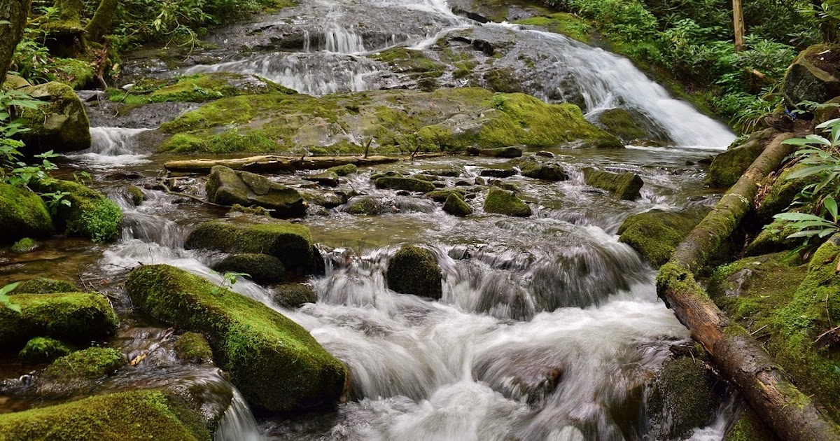 Waterfall Hero Hikes: Chasteen Creek Falls (GSMNP)