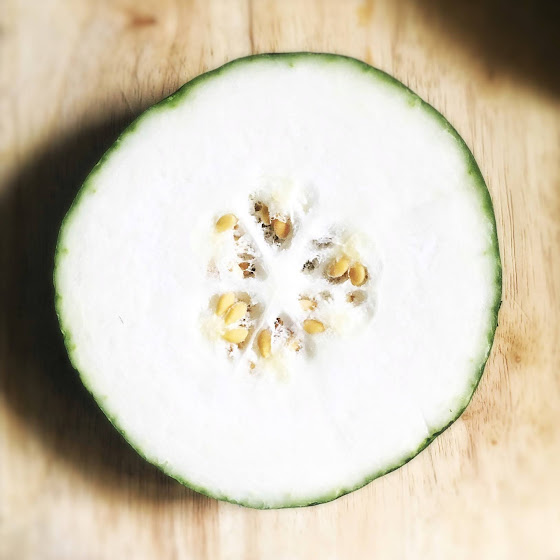 Winter Melon Tea 冬瓜茶 | Chinese Recipes at TheHongKongCookery.com