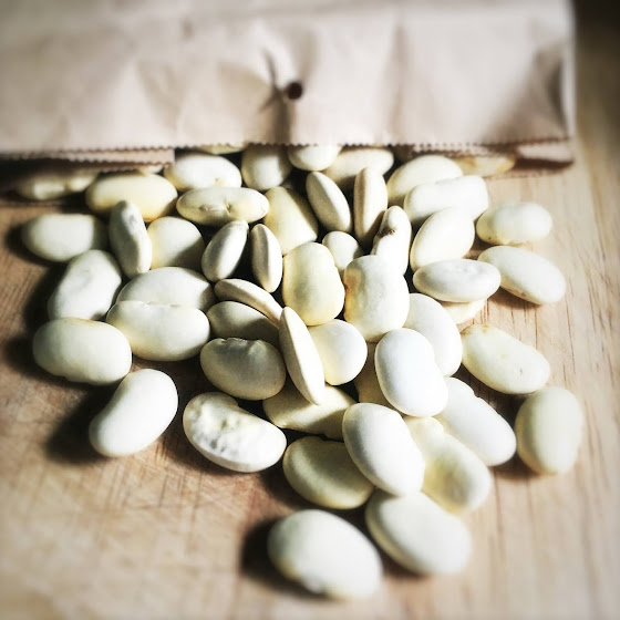 Homemade White Bean Paste 白豆沙餡 | Chinese Recipes at TheHongKongCookery.com