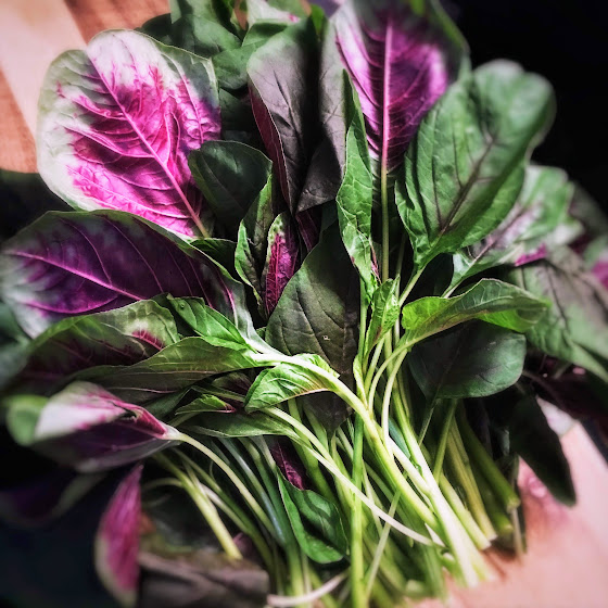 Chinese Amaranth Soup 紅莧菜湯 | Chinese Recipes at TheHongKongCookery.com