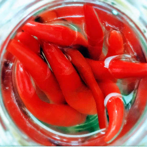 Chinese Pickled Chili Peppers 自製泡辣椒 | Chinese Recipes at ...